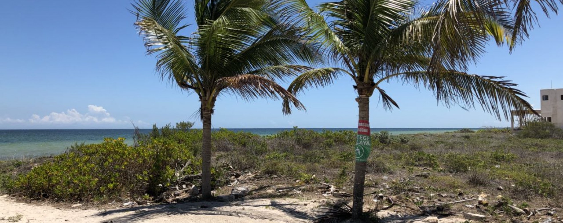 YUCATAN COAST BEACHFRONT LAND IN SAN CRISANTO | Yucatan Real Estate ...